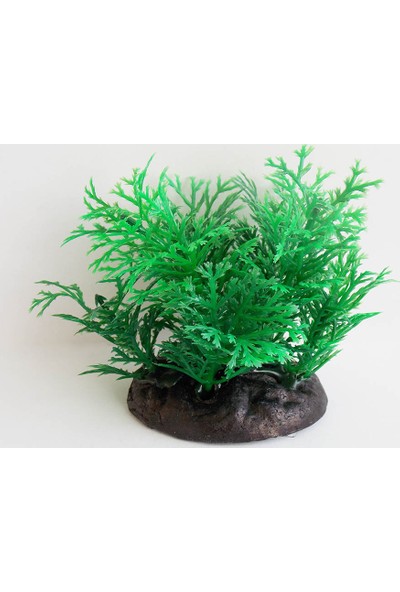 Xiongfa Plastik Bitki 7 Cm Xiongfa Plastik Bitki 7 Cm