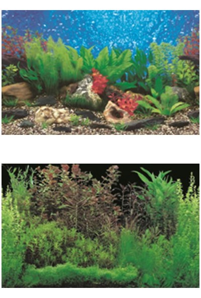 Xiongfa Poster 60 Cm - 15 M Xiongfa Poster 60 Cm - 15 M