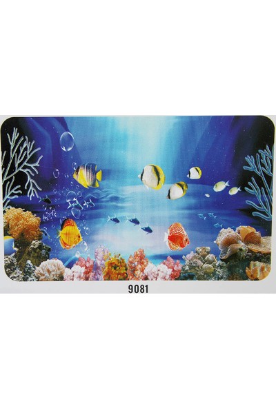 Xiongfa Poster 40 Cm-15 M Xiongfa Poster 40 Cm-15 M