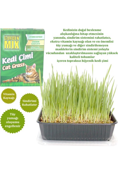 Garden Mix Kedi Çimi 13*18 cm