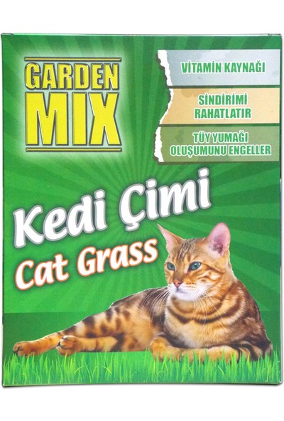 Garden Mix Kedi Çimi Büyük