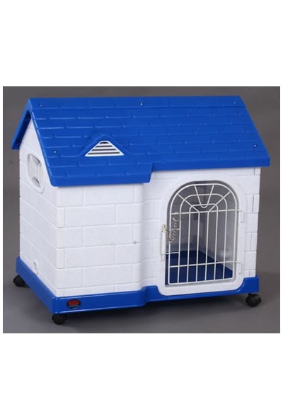 Dayang Kedi-Köpek Kafes