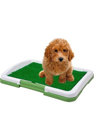 Pratik Yavru Köpek Lazımlık