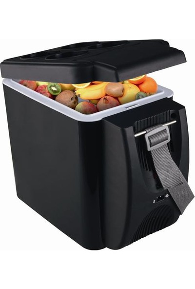 Oto Buzdolabı 12 Volt 6 Litre LY0506