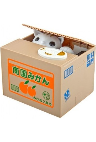 Hırsız Kedi Kumbara