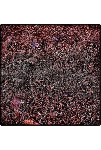 Gartengold Cocopeat 5 Litre