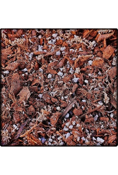 Gartengold Orkide Toprağı - Özel Karısım 2 Litre