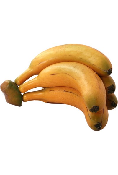 Euro Flora Muz 17 Cm 5'Li Hevenk