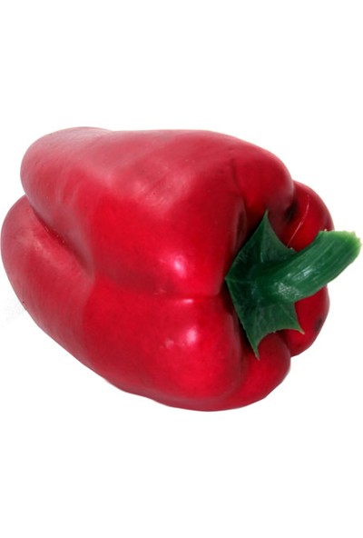 Euro Flora Dolma Biber 12 Cm