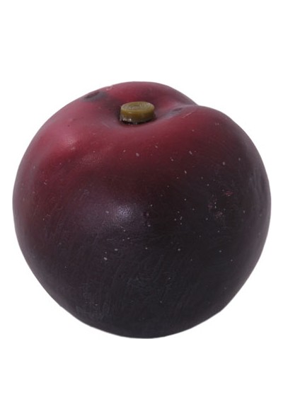 Euro Flora Erik 60 Mm. Euro Flora Erik 60 Mm.