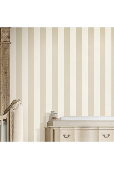 Çizgi Desen Duvar Kağıdı 4858