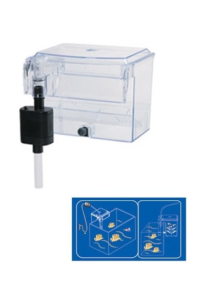 Dophin Yavruluk Motorlu