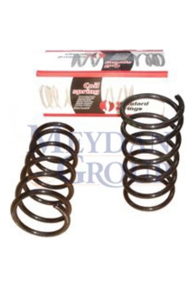 HYUNDAI ACCENT- 98/00 ÖN HELEZON YAYI R/L (2Lİ SET)1.3/1.5cc (12,5X141X313)(STDR)