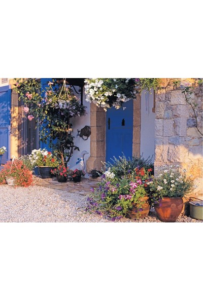 Puzzle 500 Parça Willy'Nin Evi Puzzle Puzzle 500 Parça Willy'Nin Evi Puzzle