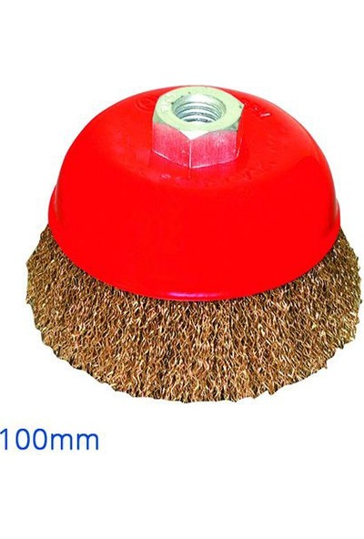 Astor Saçaklı Çanak Fırça 100 Mm