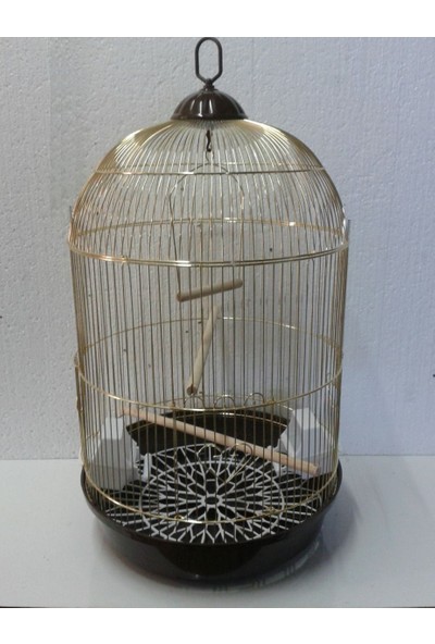 Dayang Silindir prinç Papağan Kafesi 40x60