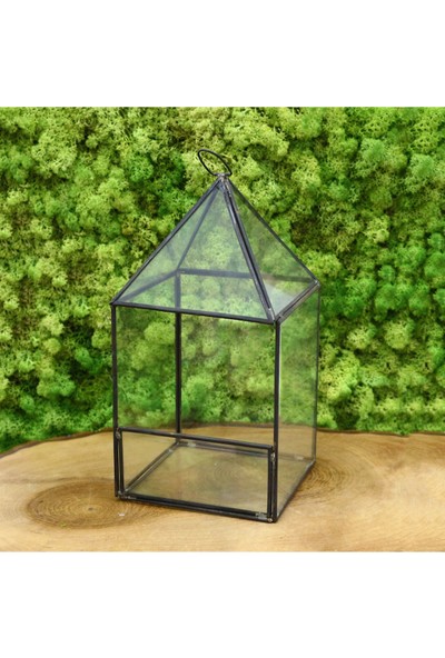 Greenmall Ev Teraryum Cam Fanus