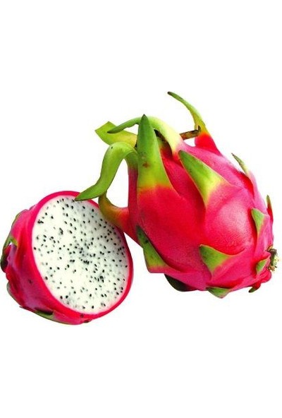 Plantistanbul Pitaya Fruit Ejder Meyvesi, Tek Loblu, Tüplü Plantistanbul Pitaya Fruit Ejder Meyvesi, Tek Loblu, Tüplü