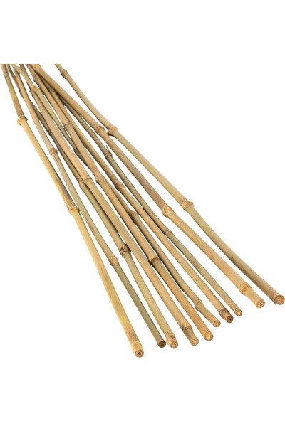 Plantistanbul Bitki Destek Çubuğu 75 cm 10 Adet