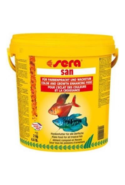 Sera San Renklendiri Pul Yem 100Gr