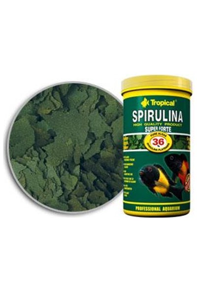 Tropical %36 Spirulina Super Forte 100 Gram Tropical %36 Spirulina Super Forte 100 Gram