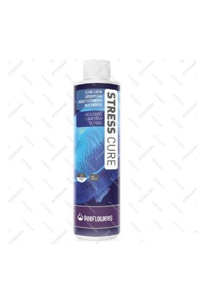 Reeflowers Stress Cure 500Ml