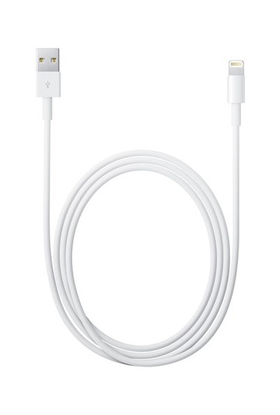 Apple Lightning - USB Kablosu (0,5 m) - ME291ZM