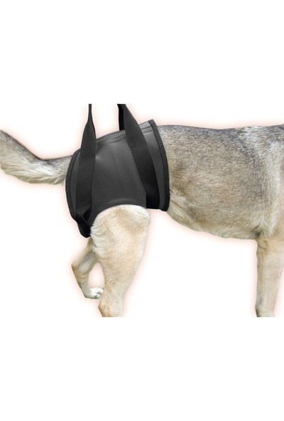 Julius-K9 Rehabilitasyon Tasması - Arka Xxl 110-140 Cm Julius-K9 Rehabilitasyon Tasması - Arka Xxl 110-140 Cm