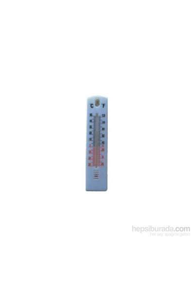 Doğan Duvar Termometresi Plastik / N507