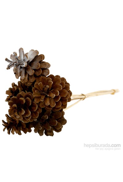 Kozalak Naturel 5 Li