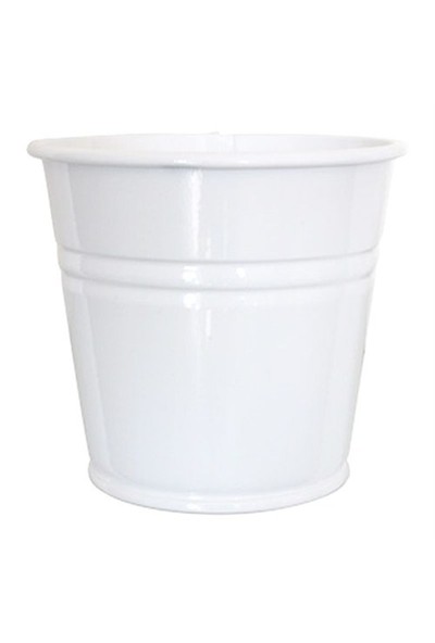 Pandoli Beyaz Renk Galvaniz Kurabiye Kasesi 11 Cm Küçük 1 Adet