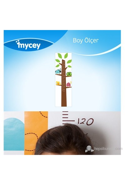 Mycey Boy Ölçer Sticker / Kuş Ailesi Ağaçta