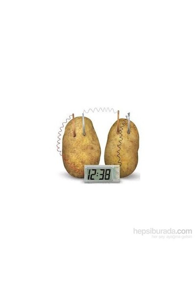 Potato Clock Elektriğini Patatesten Üreten Dijital Saat