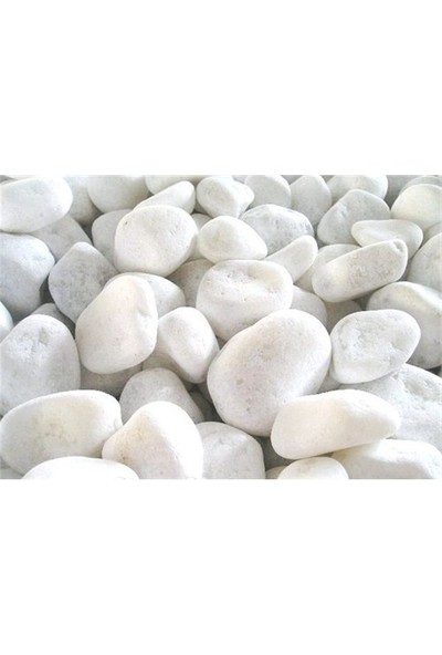 Plantistanbul Dolomite Doğal Dekoratif Taş 2-4 Cm, 25 Kg Plantistanbul Dolomite Doğal Dekoratif Taş 2-4 Cm, 25 Kg