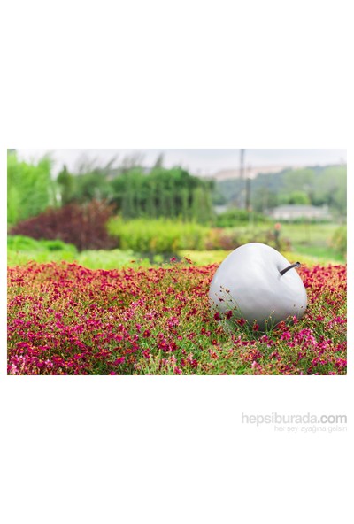 GardenLife Dekoratif Bahçe Süsü - Elma Obje Gümüş GardenLife Dekoratif Bahçe Süsü - Elma Obje Gümüş