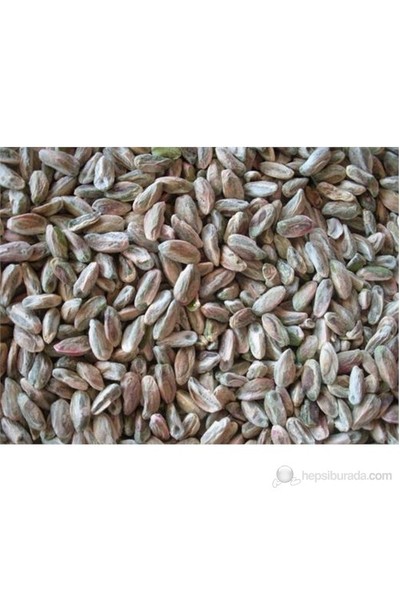 Antep Boz İç Fıstık 250gr Antep Boz İç Fıstık 250gr