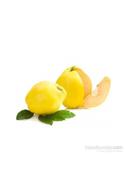 Ayva (500 Gr) Ayva (500 Gr)