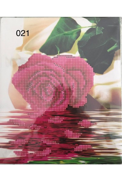 Hi Stone Boncuklu Taşlı Mozaik Elmas Goblen Pano 21 x 25 cm