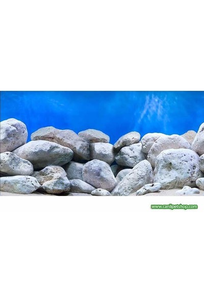 Canlı Petshop Arka Fon (Parlayan Taşlar) 50 cm Uzunluk Yükseklik 46 cm