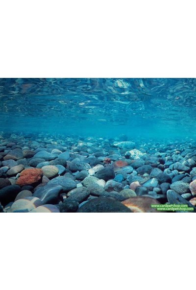 Canlı Petshop Arka Fon (Nehir Taşları) 50 cm Uzunluk Yükseklik 46 cm