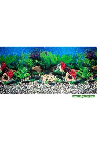 Canlı Petshop Arka Fon (Manzara-80) 50 cm Uzunluk Yükseklik 80 cm