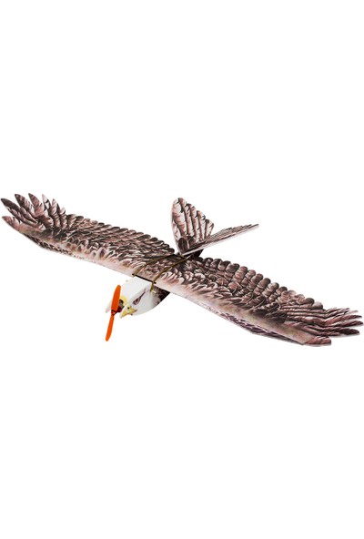 Gahome E1904 Dance Wings Kartal Şeklinde Rc Hobi Uçağı (Yurt Dışından)