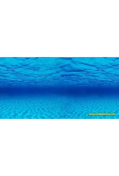 Canlı Petshop Arka Fon (Sudaki Derinlik) 50 cm Uzunluk / Yükseklik 46 cm