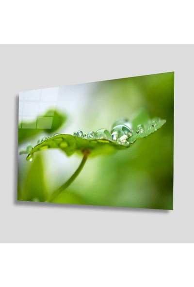 Idealizbiz Yeşil Cam Tablo 4mm Dayanıklı Temperli Cam