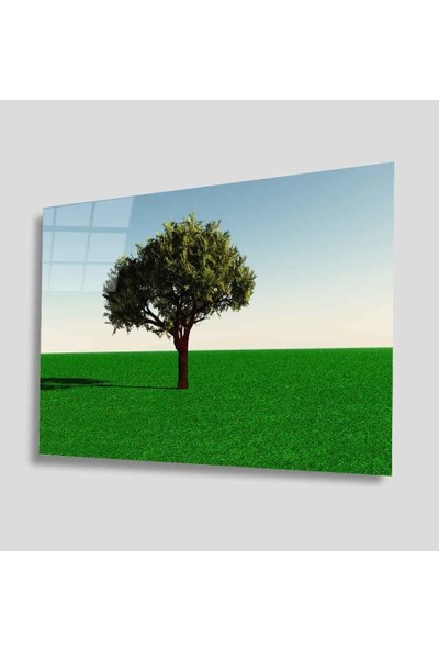 Idealizbiz Yeşil Cam Tablo 4mm Dayanıklı Temperli Cam