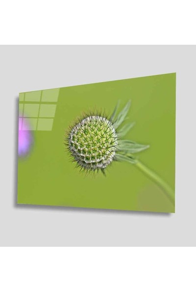 Idealizbiz Yeşil Cam Tablo 4mm Dayanıklı Temperli Cam