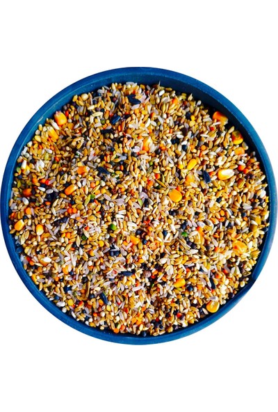 Bizim Yem Karışık Güvercin Yemi (Buğdaylı) - 10KG Bizim Yem Karışık Güvercin Yemi (Buğdaylı) - 10KG