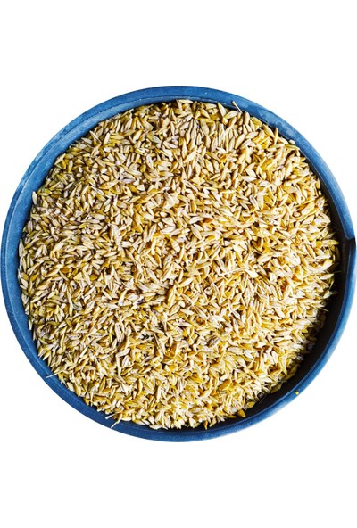 Bizim Yem Kırık Arpa - 5 kg Tavuk Yemi Yemlik Ezme Kanatlı Yemi Kaz Ördek Yemi Kuş Yemi Bizim Yem Kırık Arpa - 5 kg Tavuk Yemi Yemlik Ezme Kanatlı Yemi Kaz Ördek Yemi Kuş Yemi