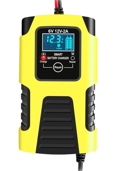 Tam Otomatik Akıllı Araç Akü Şarj Cihazları (Yurt Dışından)