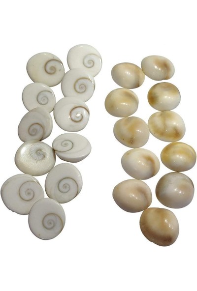 Zirve Hediyelik Yılancık Taşı 15 Adet